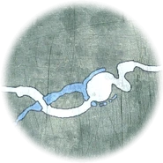 Ancient Cullis Gate | The Fable Wiki | Fandom