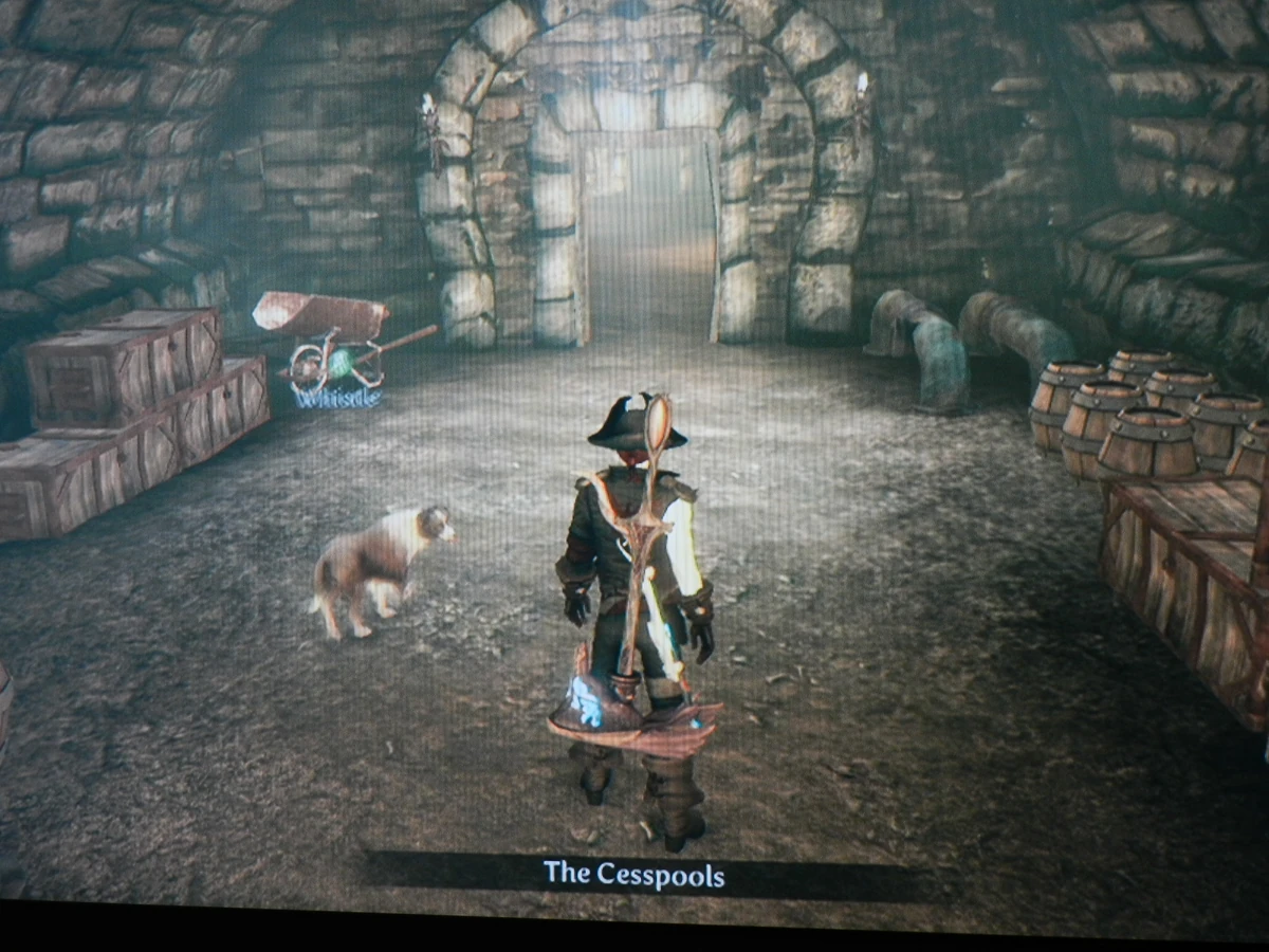 The Cesspools | The Fable Wiki | Fandom