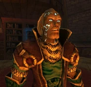 Maze | The Fable Wiki | Fandom