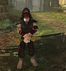 Assassin | The Fable Wiki | Fandom