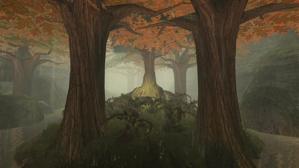 The Arboretum | The Fable Wiki | Fandom