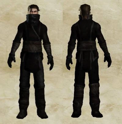 Assassin Outfit (Fable II) | The Fable Wiki | Fandom