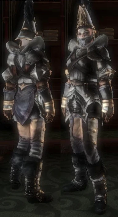 Women's Warrior Suit | The Fable Wiki | Fandom