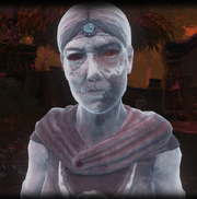 Scarlet Robe | The Fable Wiki | Fandom