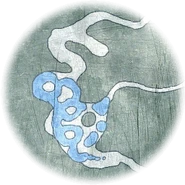 Lago di Darkwood | Fable Wiki | Fandom