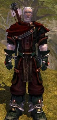 Dark Will User's Outfit | The Fable Wiki | Fandom