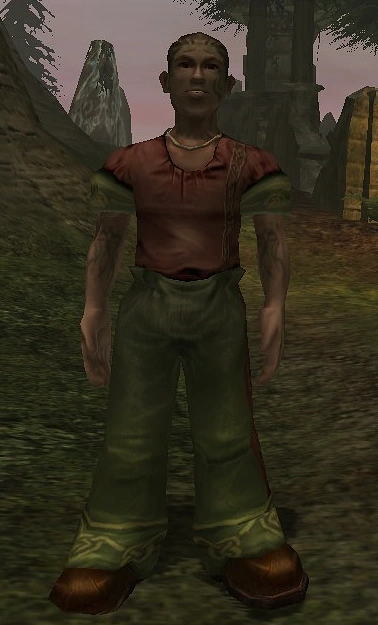 The Chief's Youngest Son | The Fable Wiki | Fandom