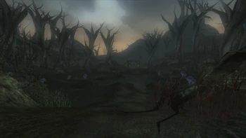Darkwood Marshes | The Fable Wiki | Fandom