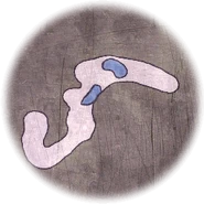 Hobbe Caves | The Fable Wiki | Fandom