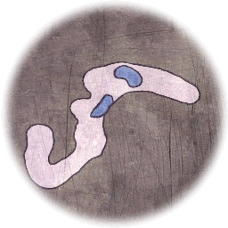 Hobbe Caves | The Fable Wiki | Fandom