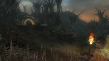 Darkwood Entrance | The Fable Wiki | Fandom