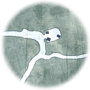 Darkwood Camp | The Fable Wiki | Fandom