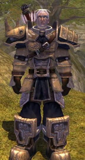 Bright Platemail Suit The Fable Wiki Fandom