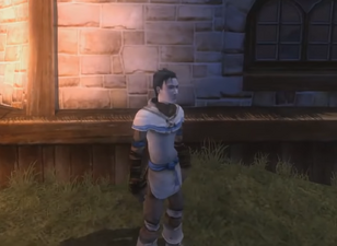 Fable TLC Bugs | The Fable Wiki | Fandom