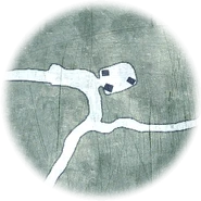 Campo di Darkwood | Fable Wiki | Fandom