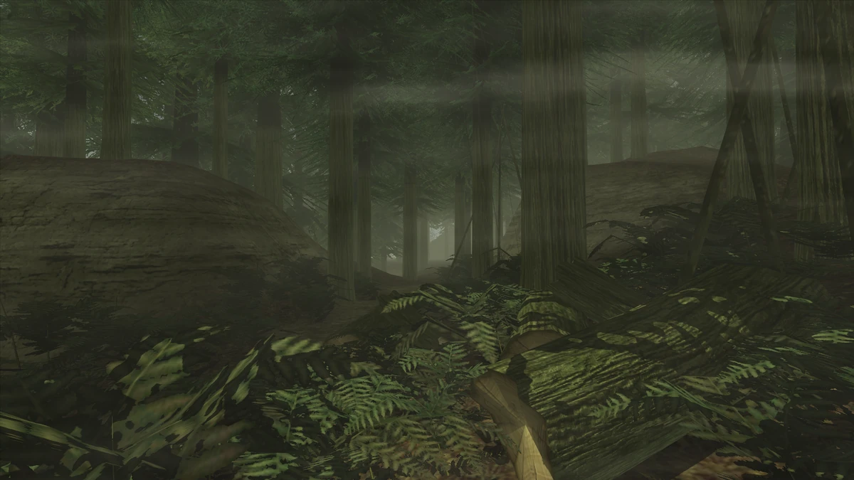 Witchwood | Fable Wiki | Fandom