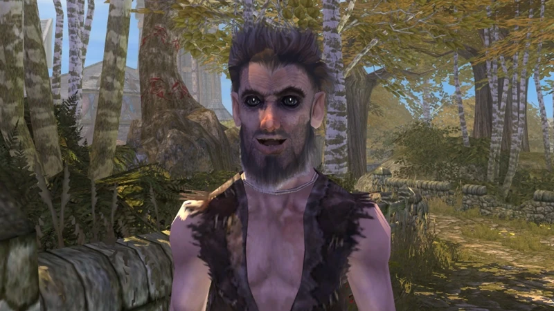 Old Adventurer | The Fable Wiki | Fandom