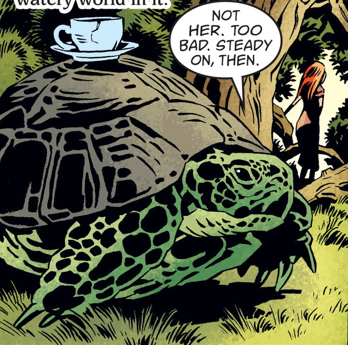World Turtle | Fables Wiki | Fandom
