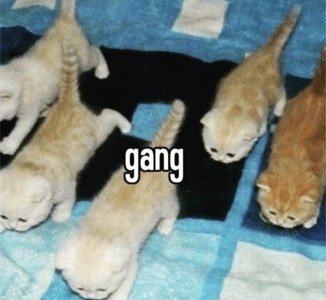 gang | Fandom