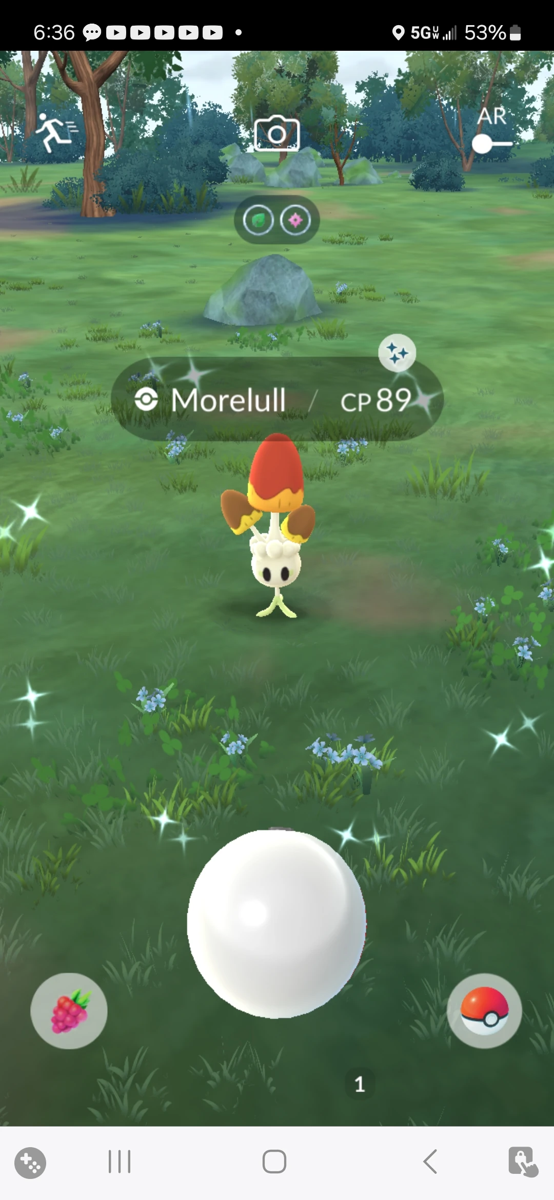 First Shiny Morelull from Spotlight Hour! | Fandom