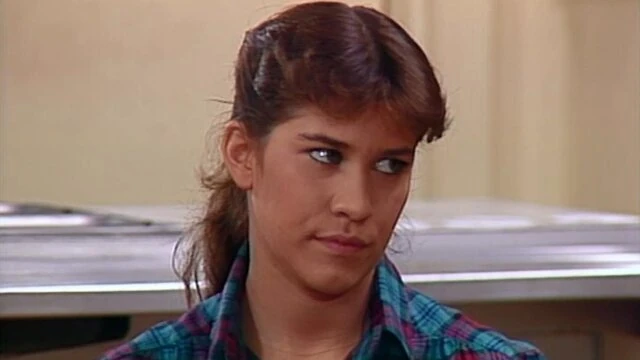 Help from Home | The Facts of Life Wiki | Fandom