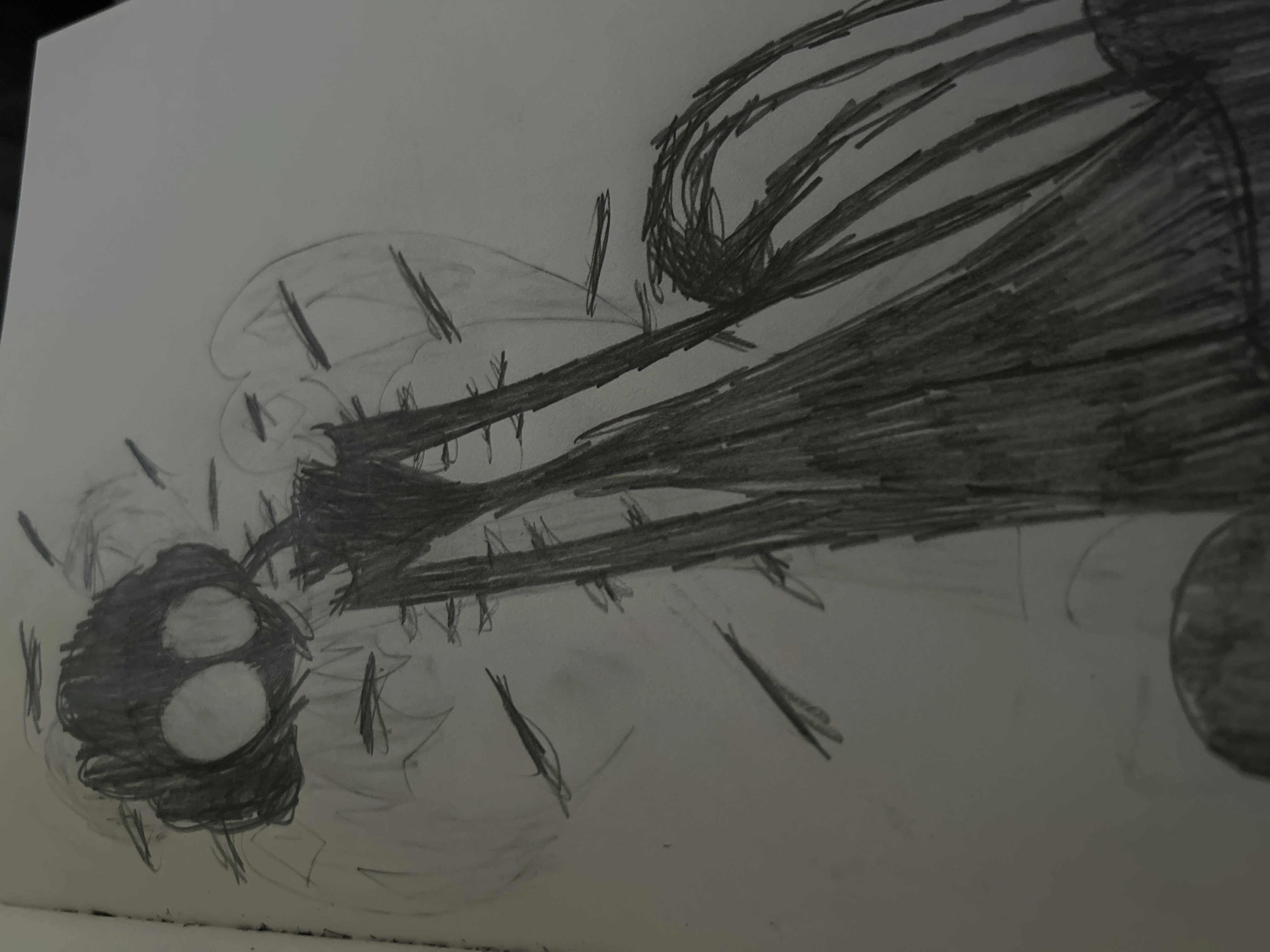 Some doodles | Fandom