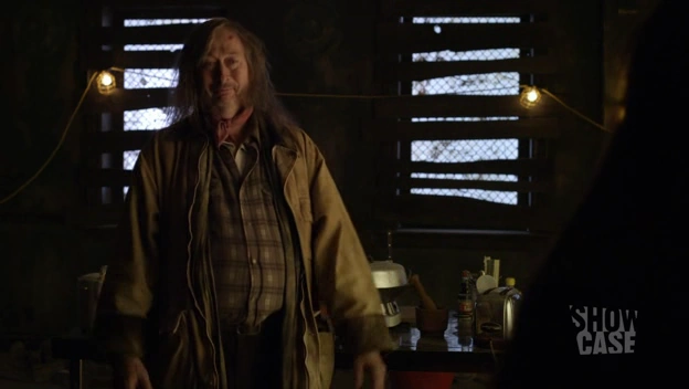 Will-o-the-wisp | Fae World (Lost Girl) Wiki | Fandom