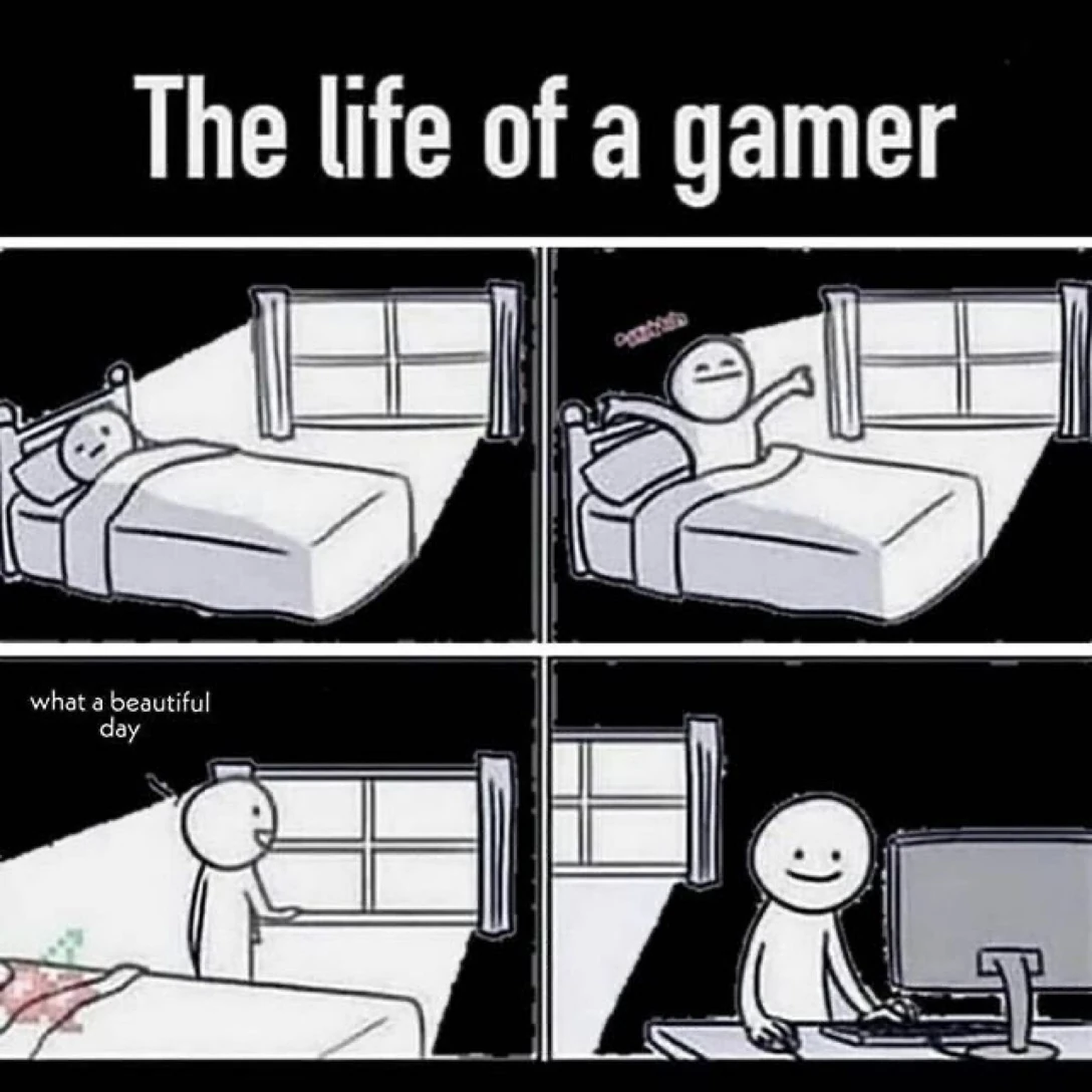 A life of a Gamer : | Fandom
