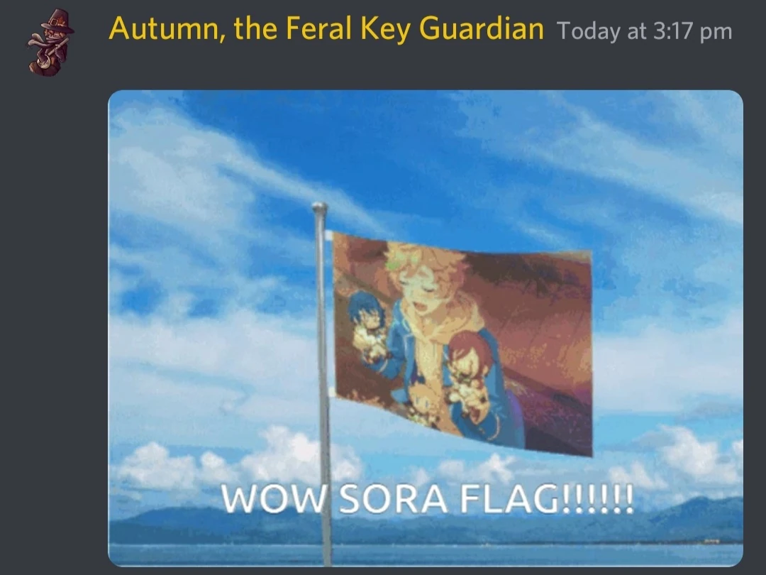 What I got for searching Starry Soro in Discord gifs | Fandom