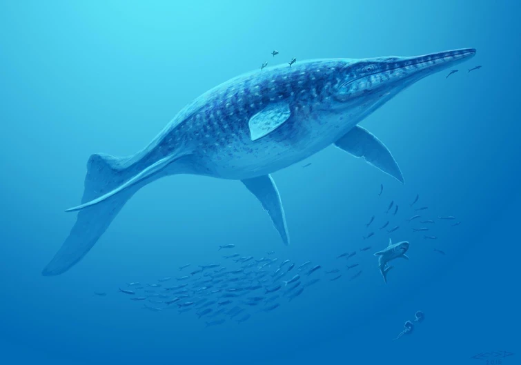 Acrys quest to spread icthyosaur love: Shastasaurus | Fandom