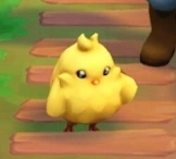 Chickoo | Fae Farm Wiki | Fandom