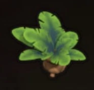 Variegated Potted Plant | Fae Farm Wiki | Fandom