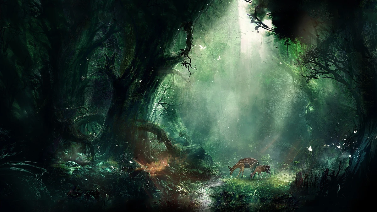 Ardeep Forest | Faerûn Legends Wiki | Fandom