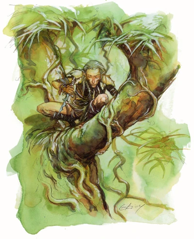 Elf | Forgotten Realms Wiki | Fandom