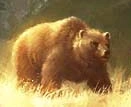 Bąbel | Forgotten Realms Wiki | Fandom