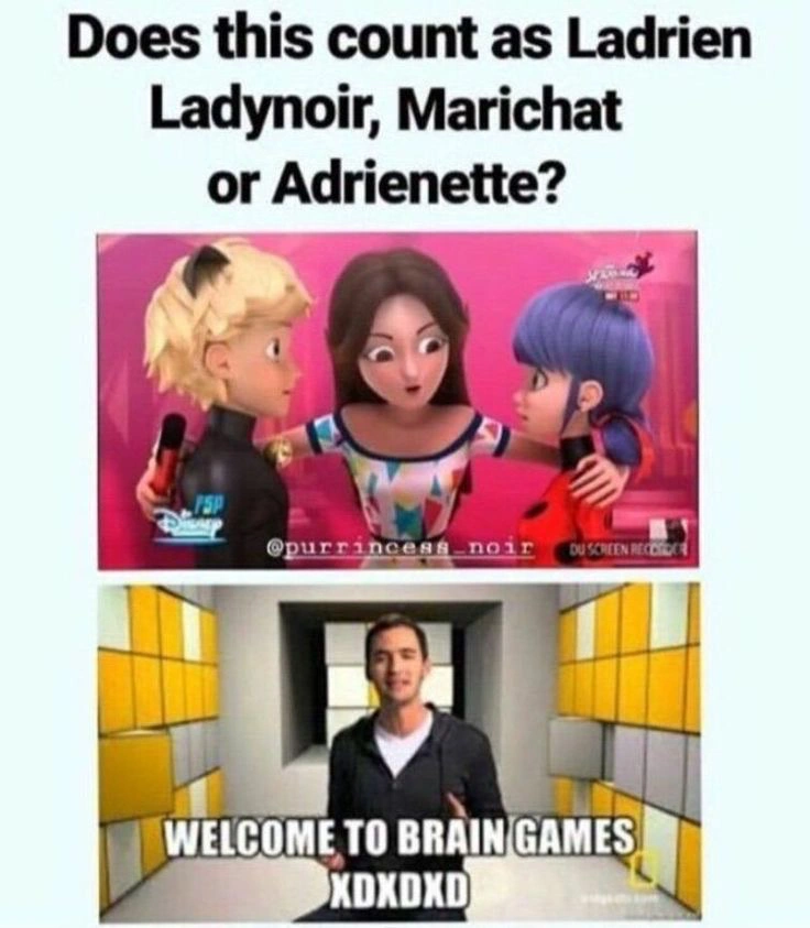 Not my meme | Fandom