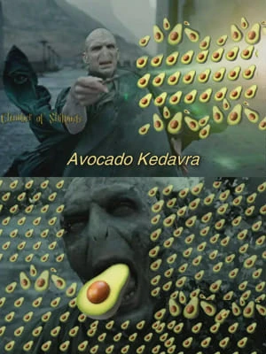 Avocado Kedavra | Fandom
