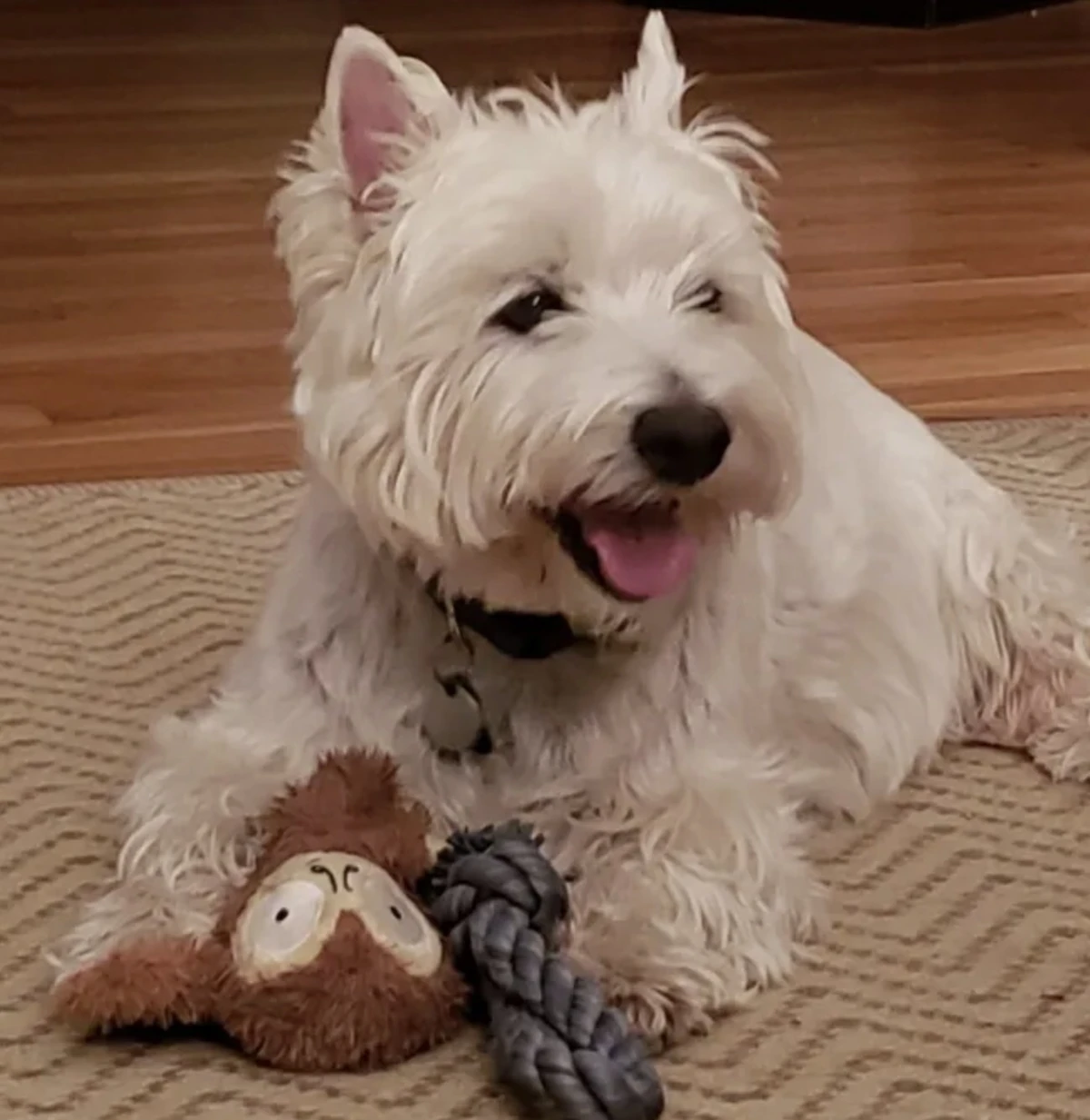 Kinn | Failboat Wiki | Fandom