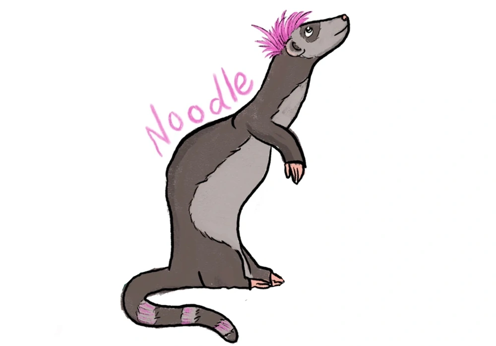 Noodle | Failed Save Wiki | Fandom