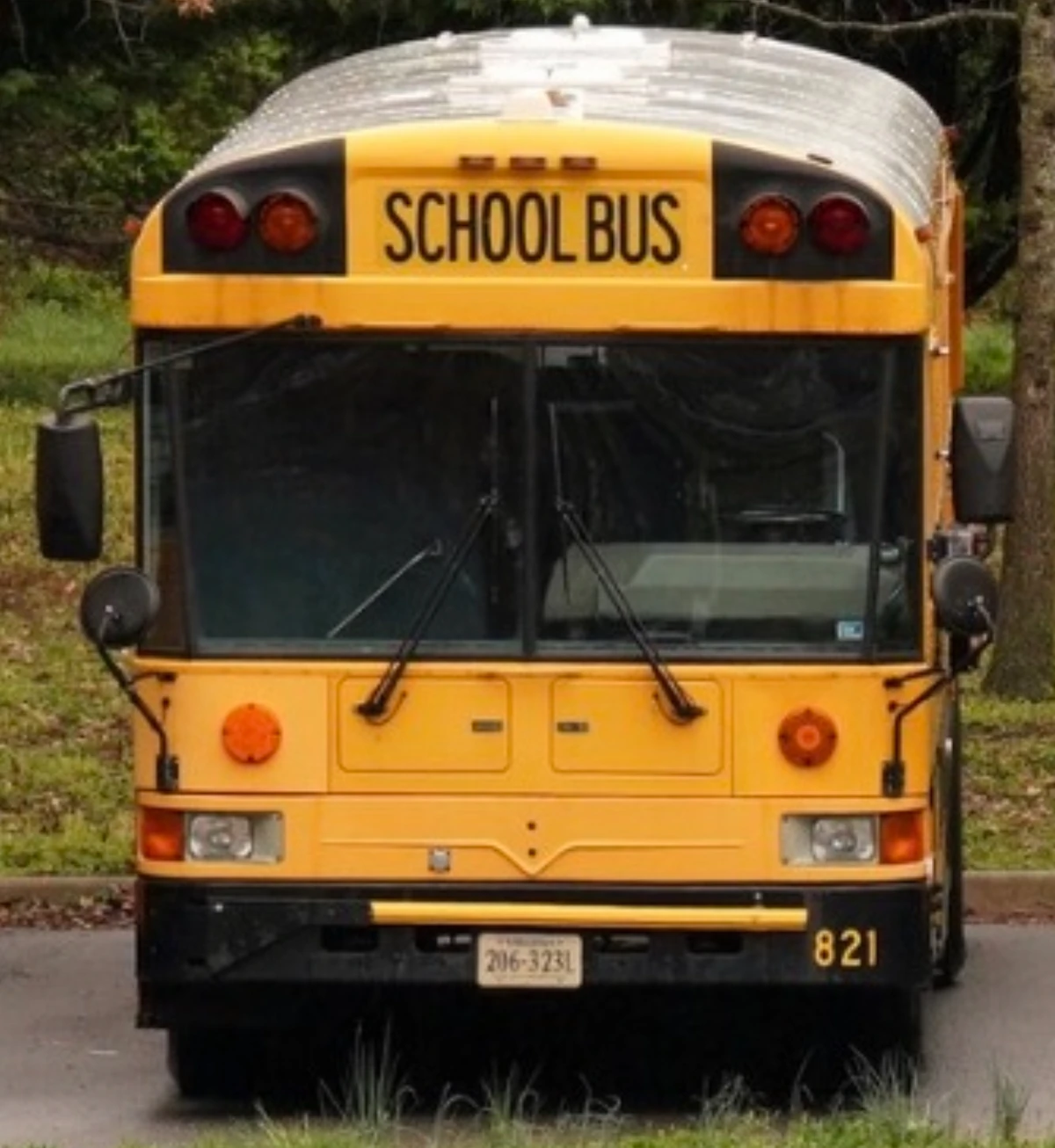 Bus 821 (2002) | Fairfax School Buses Wiki | Fandom