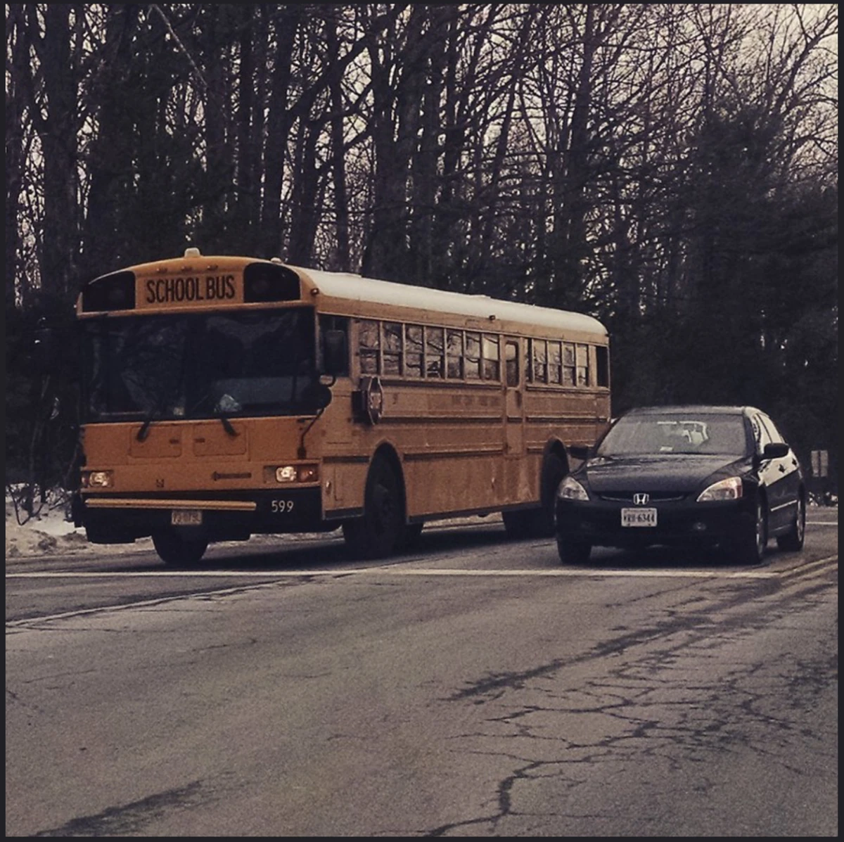 Bus 599 | Fairfax School Buses Wiki | Fandom