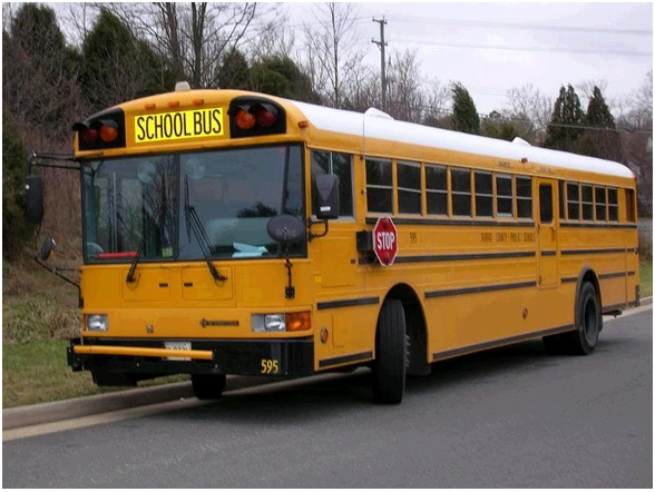 Bus 595 | Fairfax School Buses Wiki | Fandom