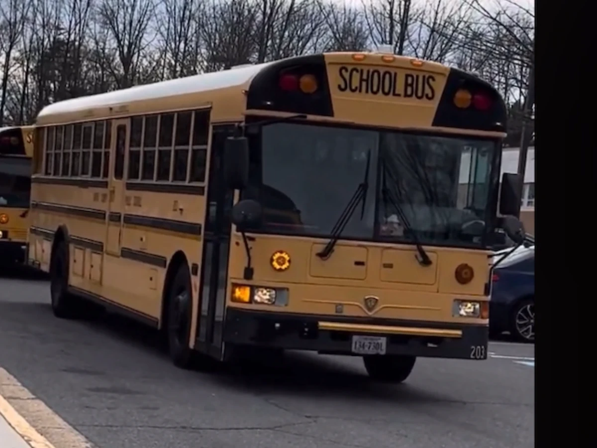Bus 203 | Fairfax School Buses Wiki | Fandom