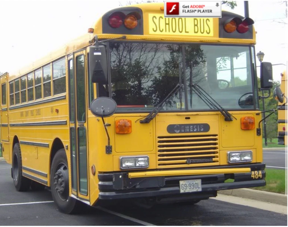 Bus 484 | Fairfax School Buses Wiki | Fandom