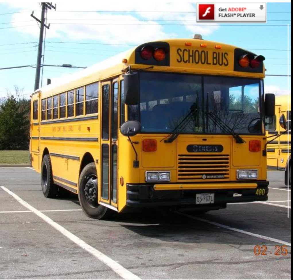 Bus 480 | Fairfax School Buses Wiki | Fandom