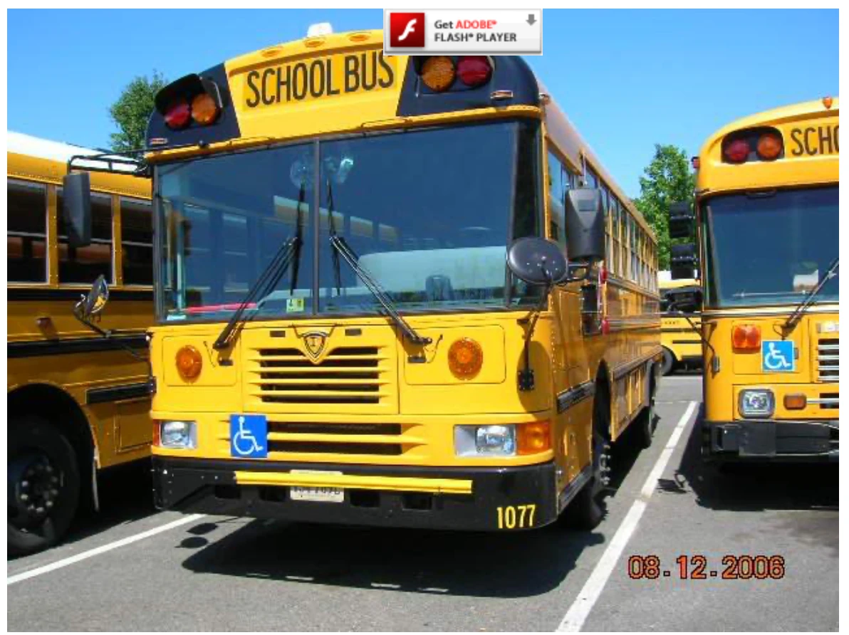 Bus 1077 | Fairfax School Buses Wiki | Fandom