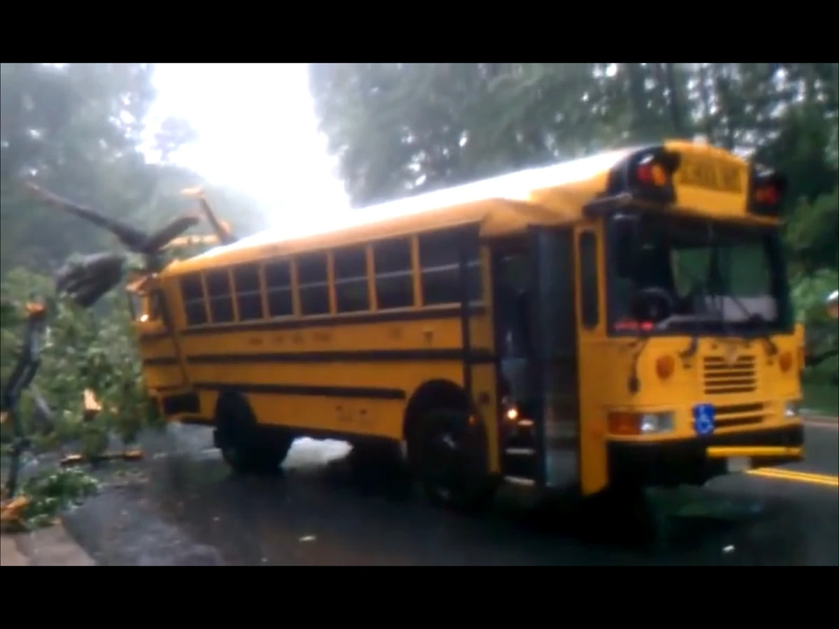 Bus 1265 (2005) | Fairfax School Buses Wiki | Fandom