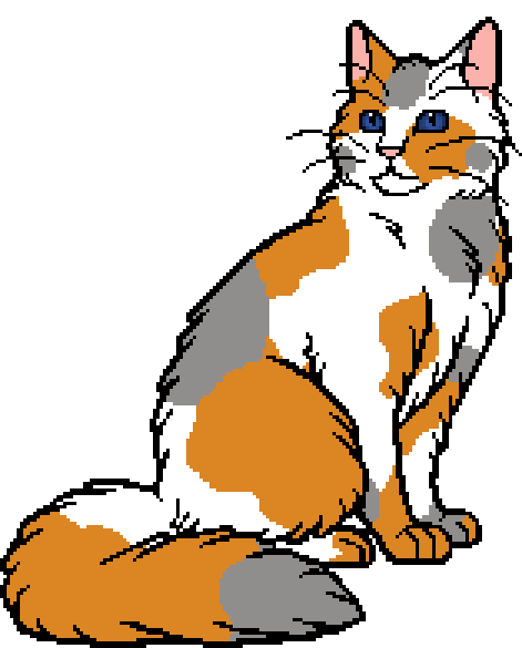 Brightwhisker | Fairiiepaw's WarriorCat Universe Wiki | Fandom