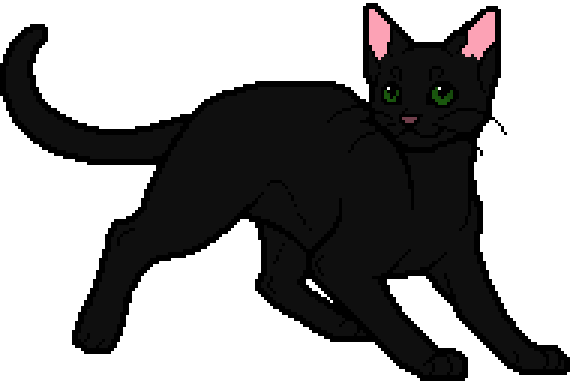 Shadepaw | Fairiiepaw's WarriorCat Universe Wiki | Fandom