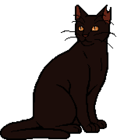 Hollykit | Fairiiepaw's WarriorCat Universe Wiki | Fandom